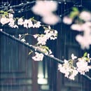 平淡的半杯水～ 