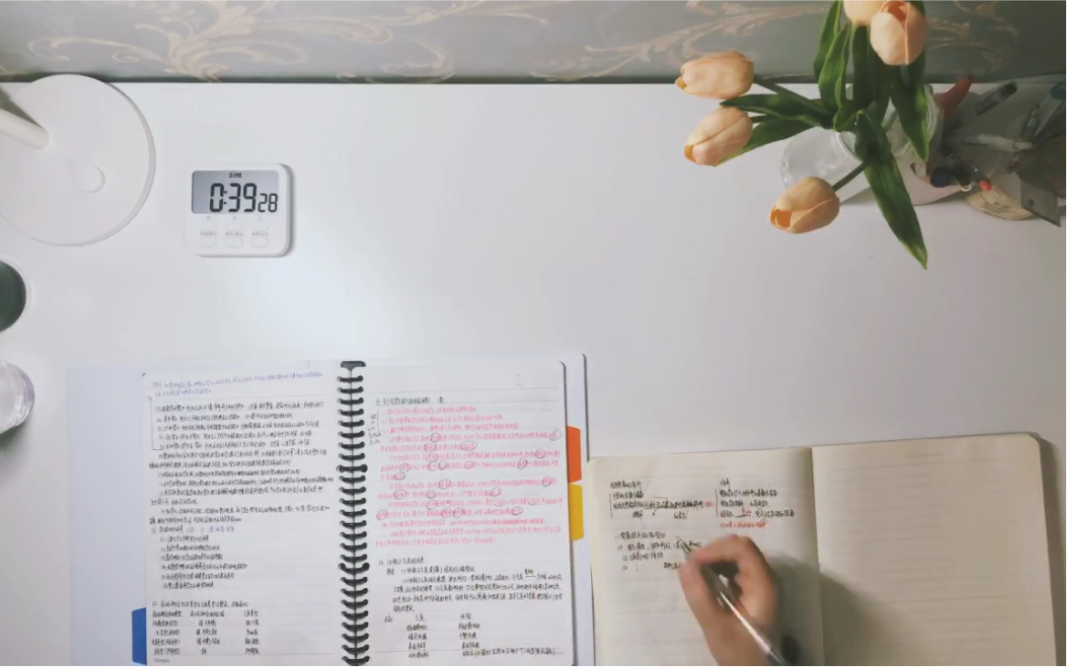 study with me/艾宾浩斯记忆法/在职备考教师招聘 /day68