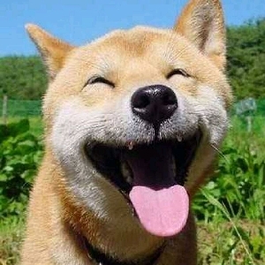 骑马的无情小叶 