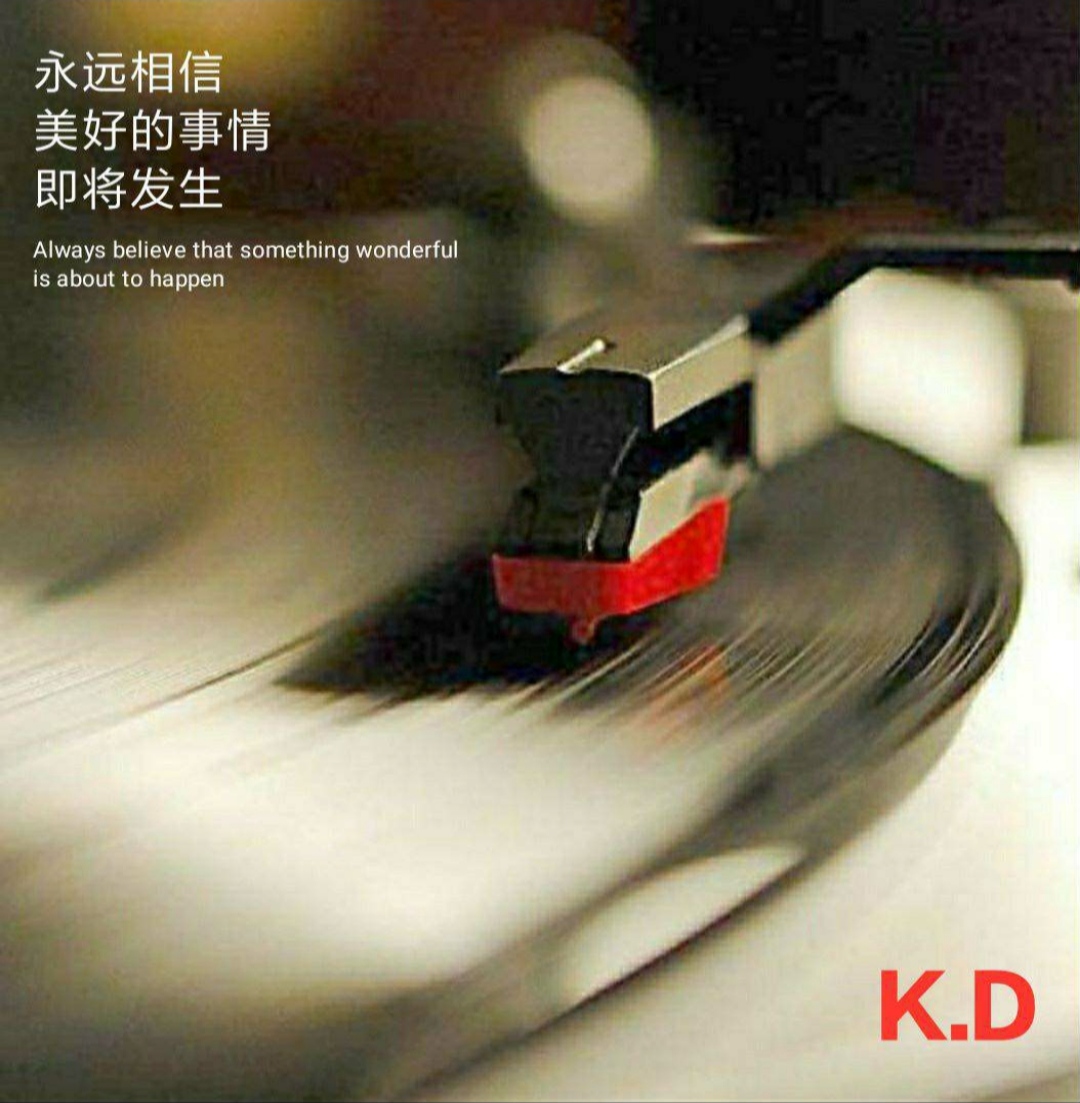 自由自在的蝌蚪 