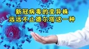 新冠病毒变异毒株再升级,德尔塔、拉姆达要关注,传播速度惊人