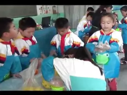 小学综合实践课童惠芬