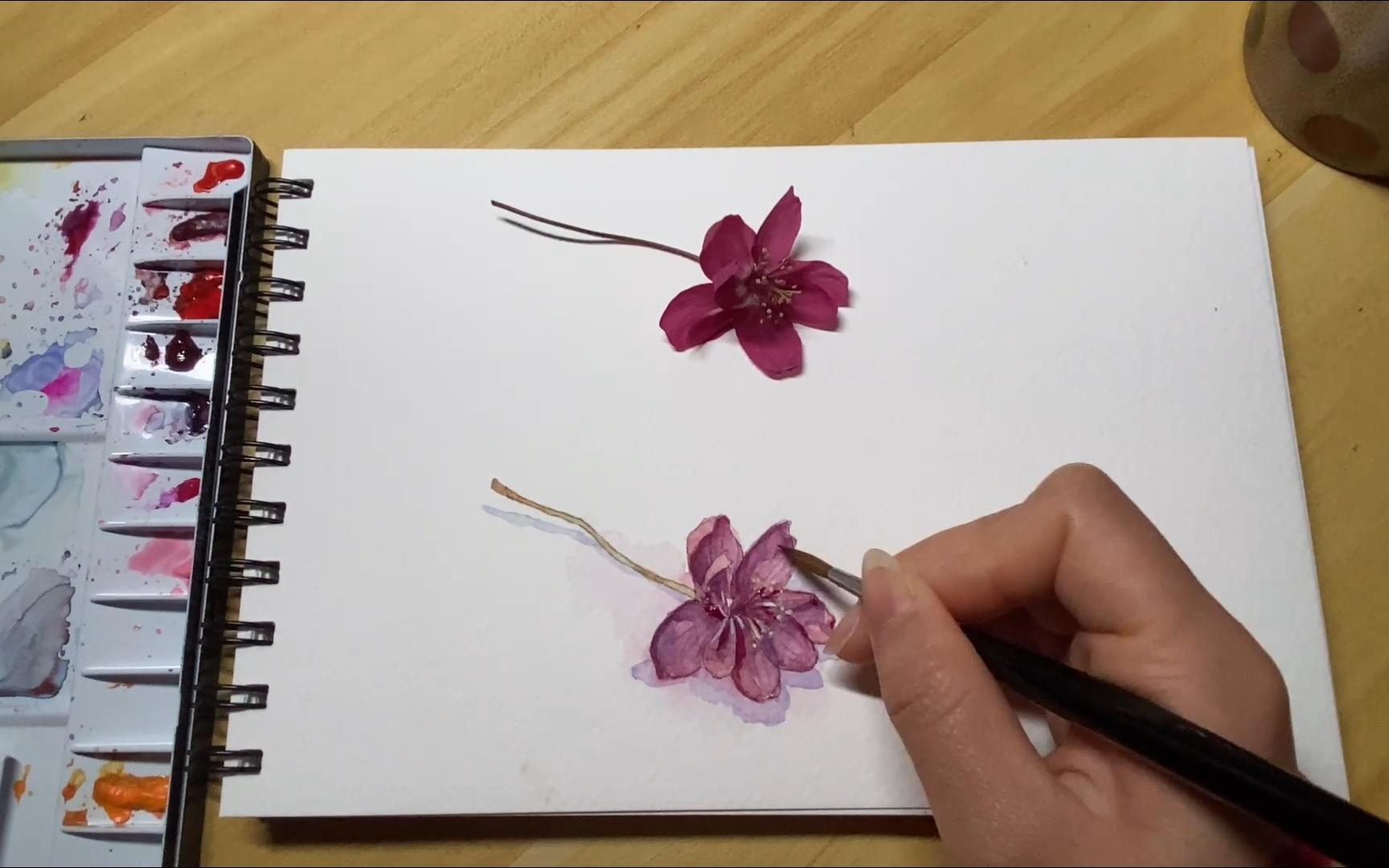 钢笔淡彩·记录春日的一朵花