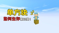 皮皮余迷你世界:单方块生存 第12集 皮皮余建的一个平台晚上刷很多怪!