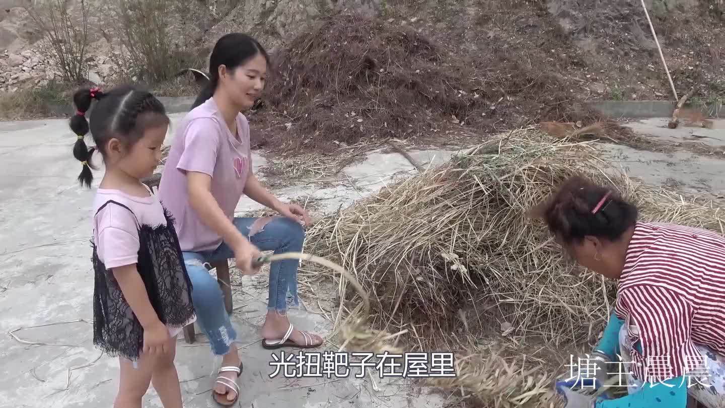 塘主晨晨:婆婆在备柴,晨晨说这是小时候常干的活,看看你干过吗
