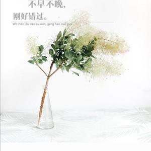 半梦半醒半颗已无的心 