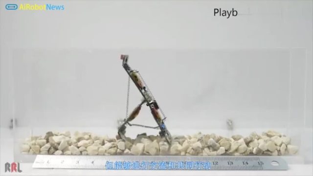 可跳跃、交流和协同工作的蚂蚁机器人