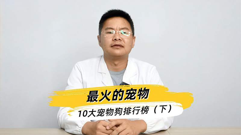 10大最受欢迎狗狗排行榜(下)