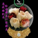 高不败门 