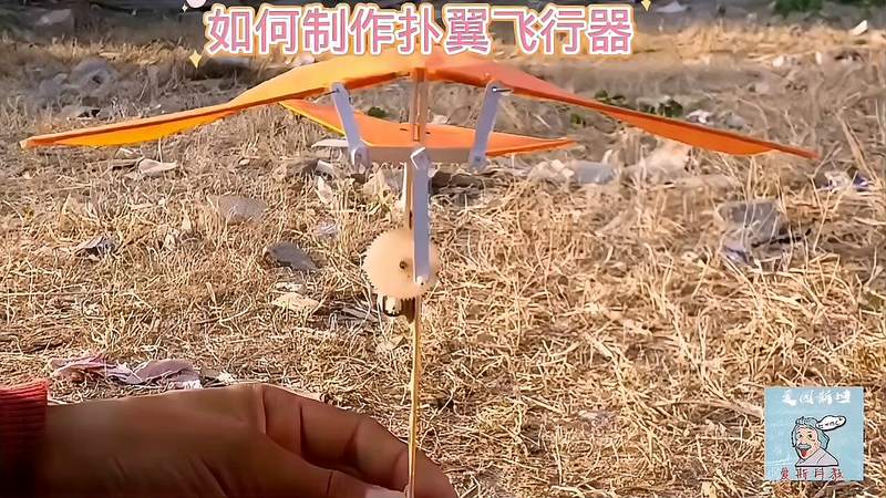 如何制作扑翼飞行器 #动手能力培养