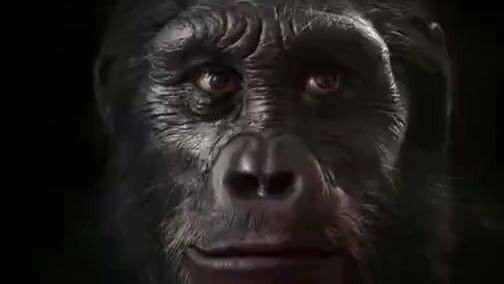 记录:人类的演变。