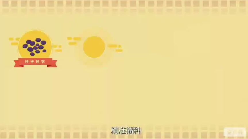 遥感大数据平台动画2