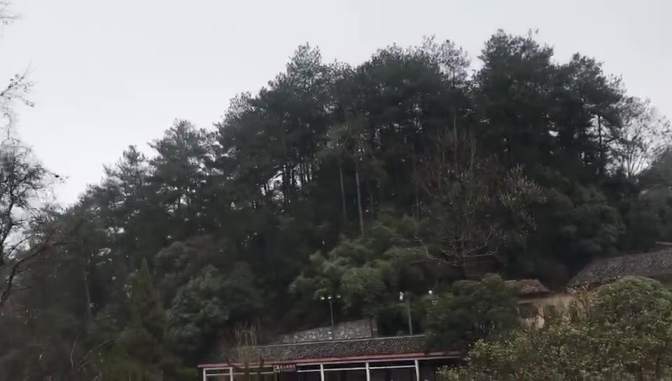 张子诚 韦氏天星风水泰斗韦松尤大师为培训班学员现场讲解