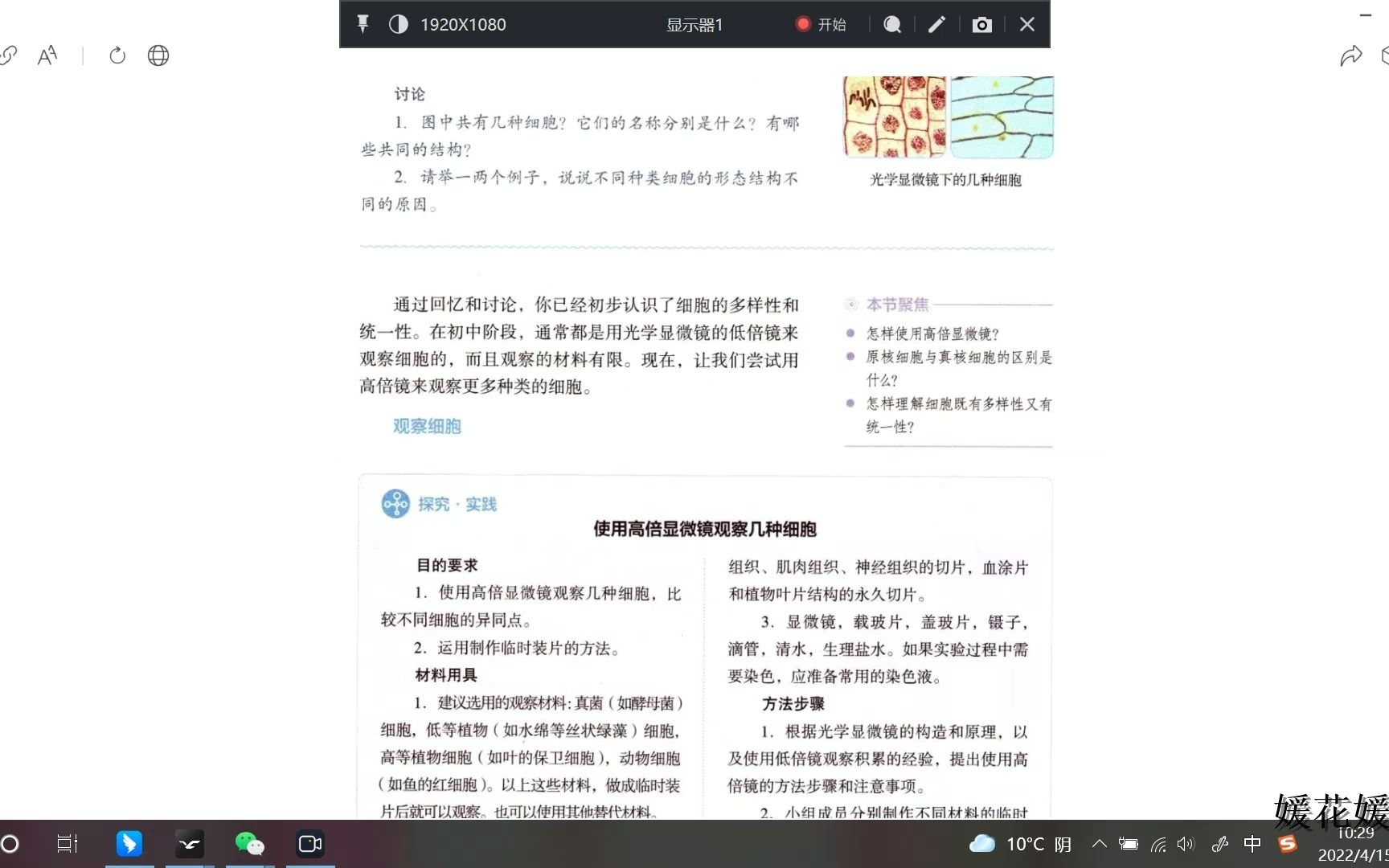 高考生物一轮总复习第一章第二节 细胞的多样性和统一性