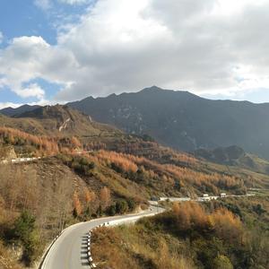 文县公路段 