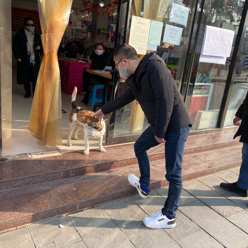 老杨绝杀-高考数学 