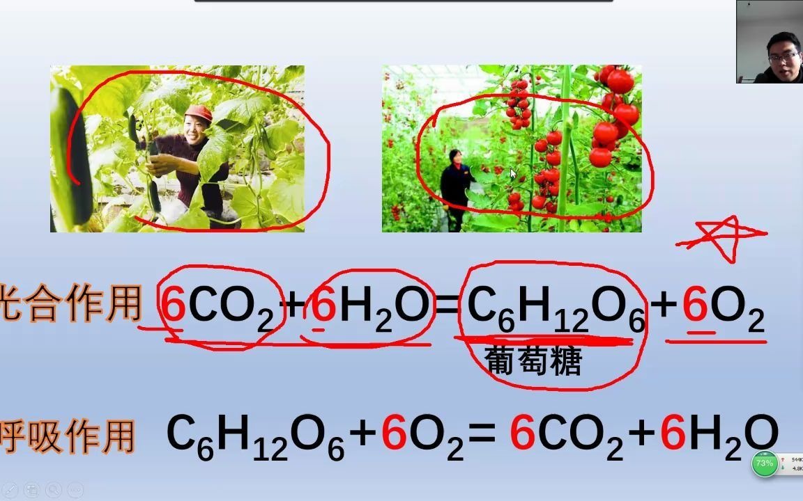 初三化学二氧化碳的作用---爱恨交加1