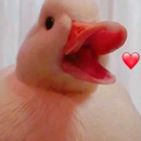 小小少年爱创作 