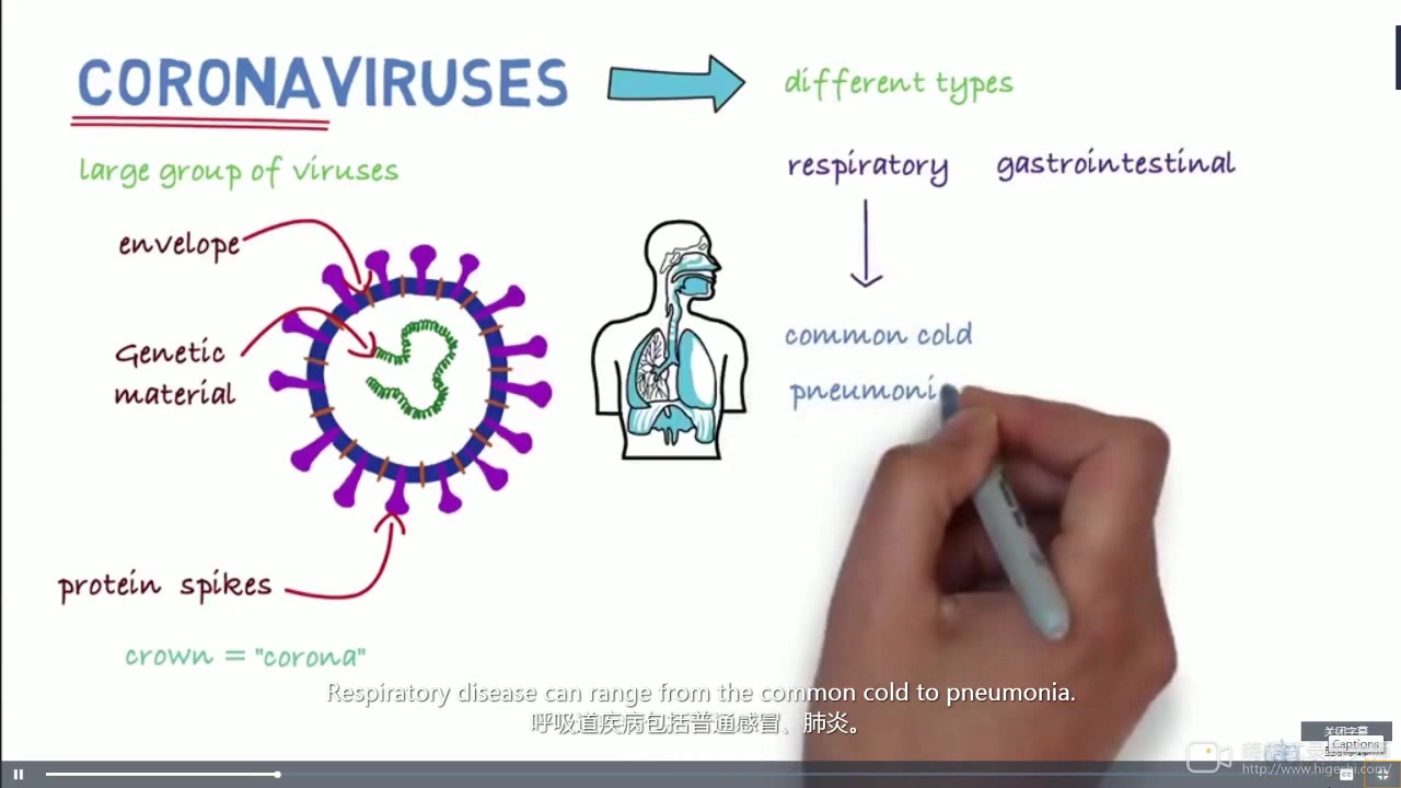 【硬核新型冠状病毒科普知识】关于新型冠状病毒感染的肺炎,想知道...