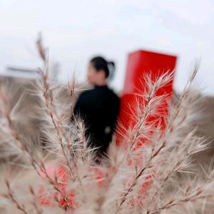 老虾农和大脸妹 