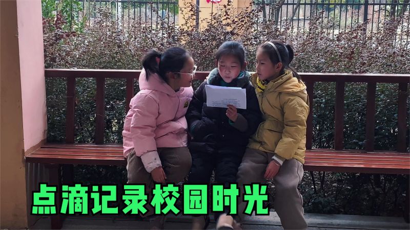 龙山湖小学日常活动,点滴记录校园时光,助力孩子们快乐成长