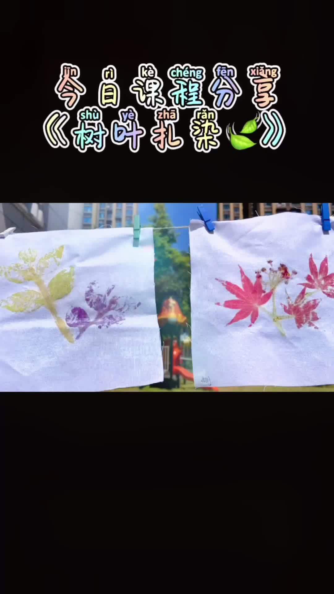 幼儿园日常 生活即教育《树叶扎染》