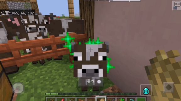 我的世界第一次录视频