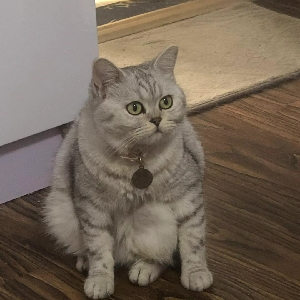 3D建模干货大佬 