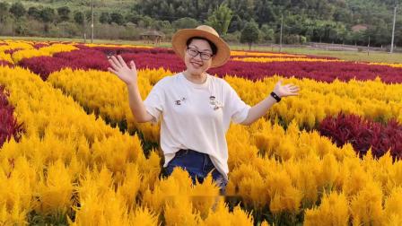 同城快乐微信群湿地公园快乐游