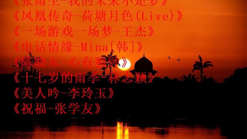 《张雨生-我的未来不是梦》《凤凰传奇-荷塘月色(Live)》