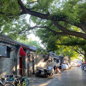 刘玥陪您看北京 