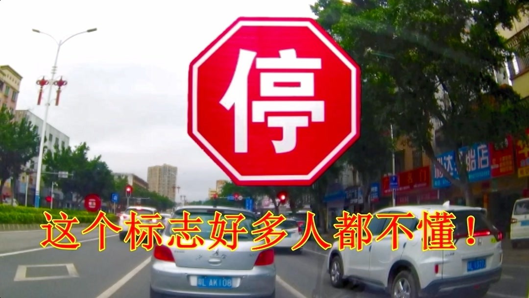 开车竟不认识这个交通标志?十几年老司机也不懂,小心做错负全责