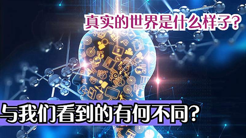 我们看到的是真实的世界吗?神经学家并不这么认为