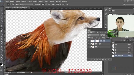 PS教程 PS基础教程 PS-CC试学第二课高清视频教程