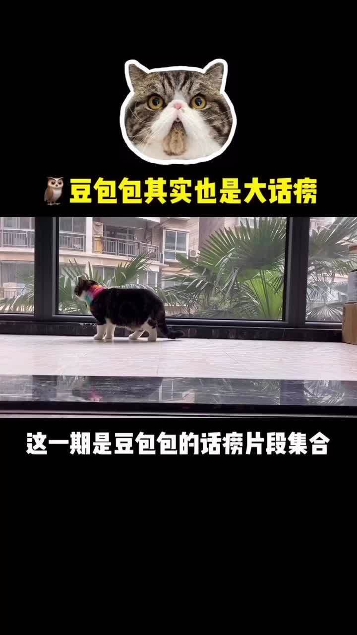 还有两天就出院啦,先来听听豆包包的一连串小奶音叭!想看直播的举手手‍️