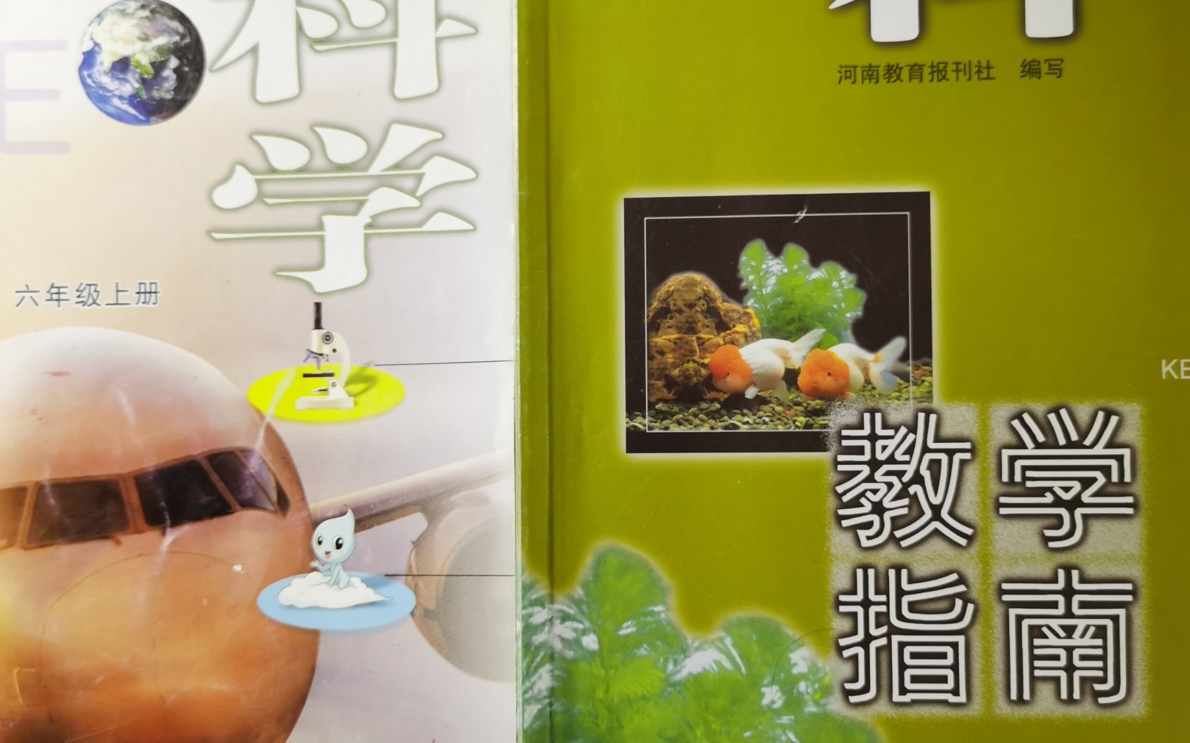 大三英语师范生第一次见习记录