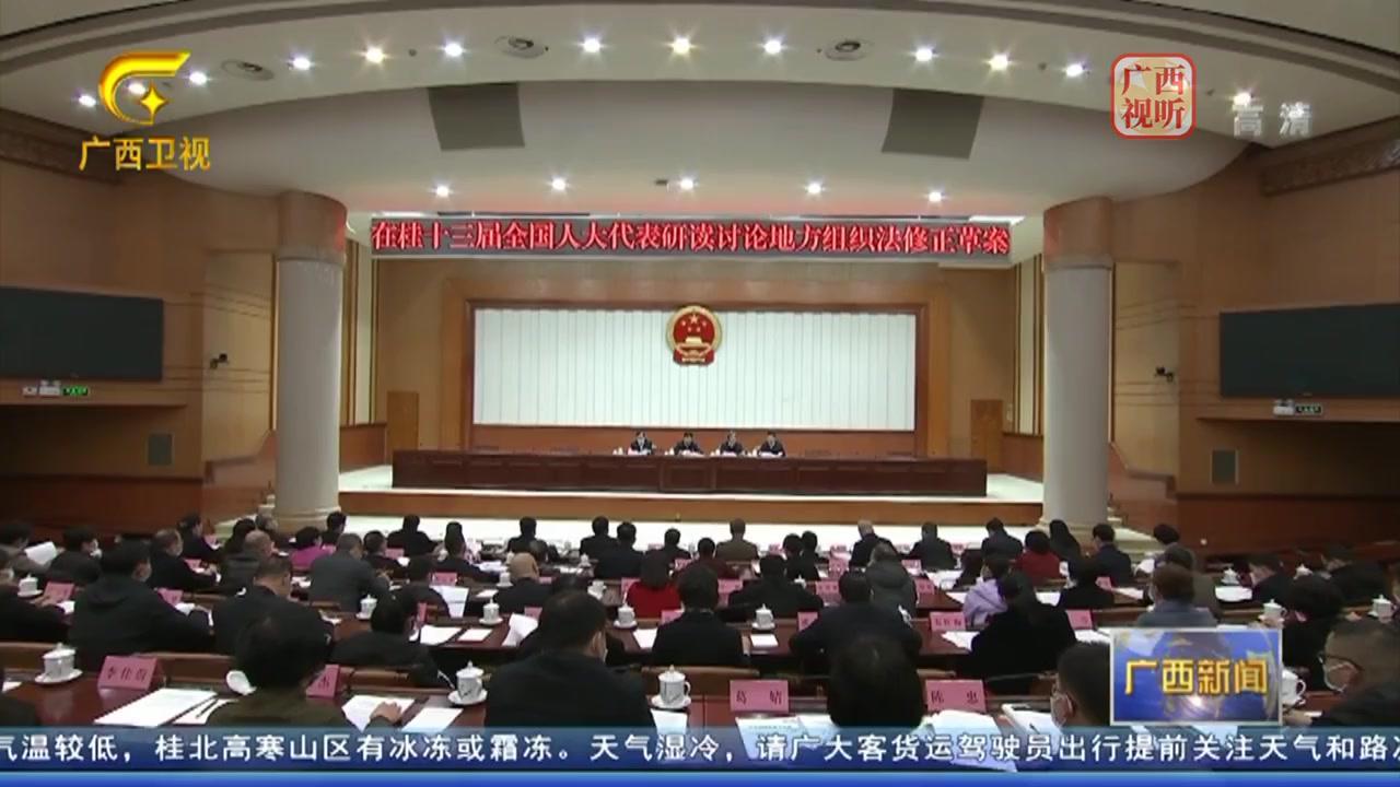 在桂十三届全国人大代表研读讨论地方组织法修正草案
