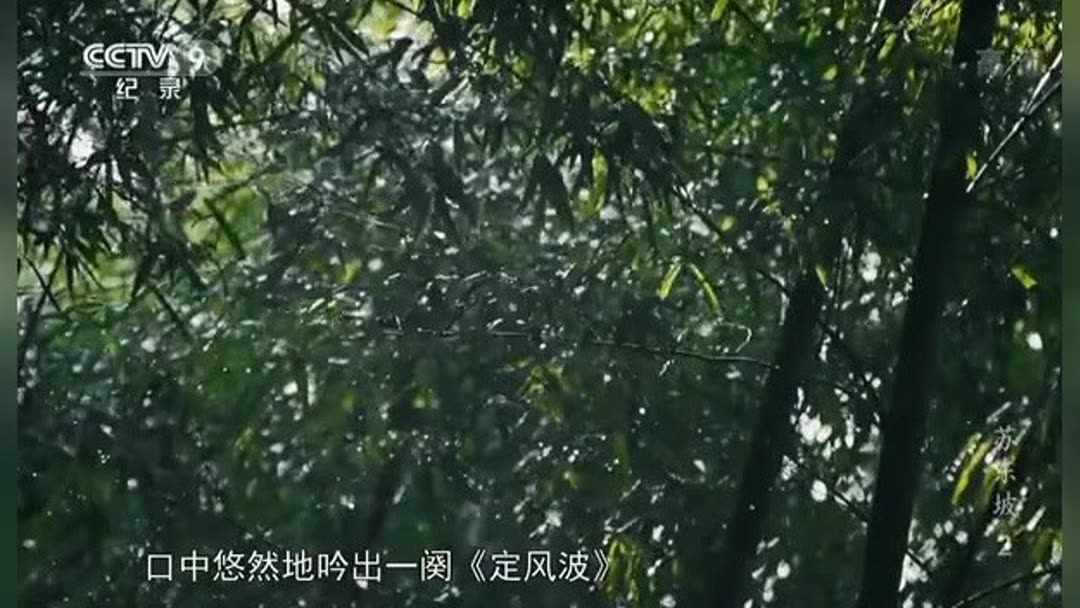 诗词朗诵 苏轼《定风波·莫听穿林打叶声》