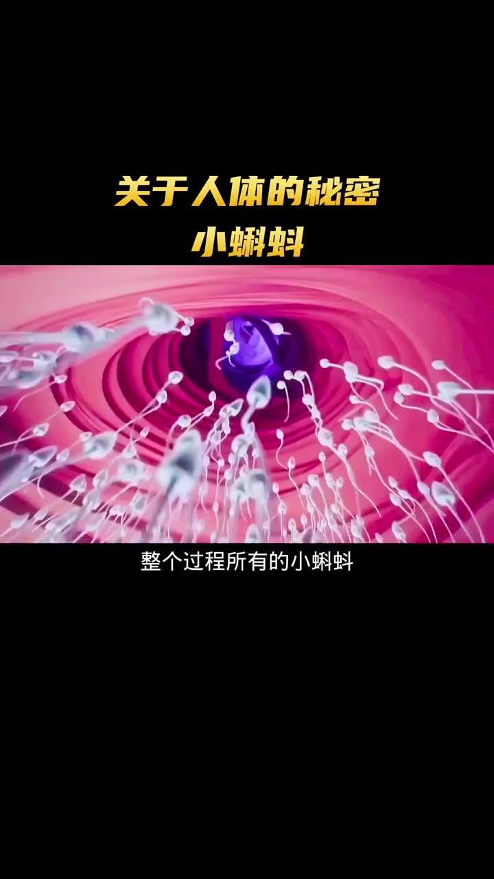 人的生命诞生全过程,你是不是很惊叹造物的精妙