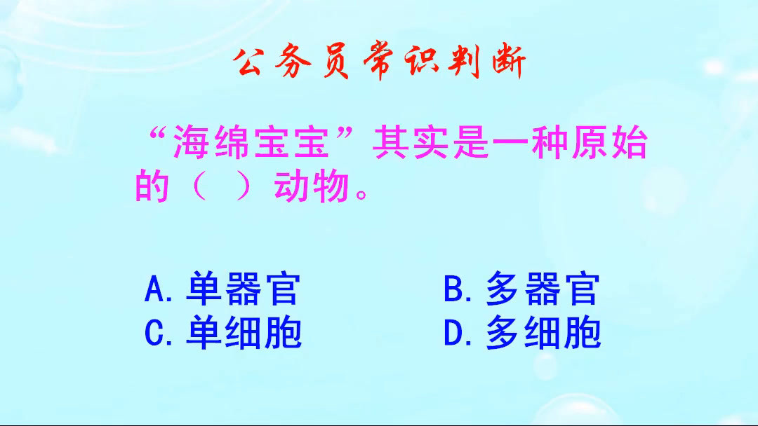 公务员常识判断,“海绵宝宝”是一种什么动物?知道的是真学霸