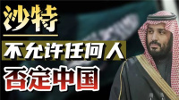 一林大话世界 第10集 没人可以在沙特否定中国,建交32年,中沙全面...