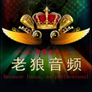 老狼音频 