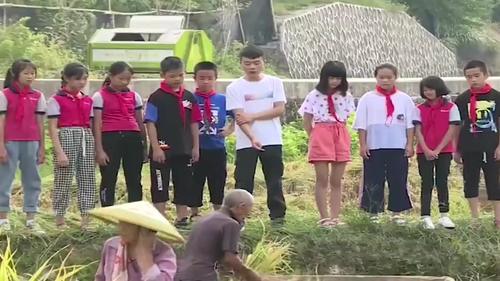 支持推广!贵州一小学开学第一课,老师将学生带到田里打稻谷!