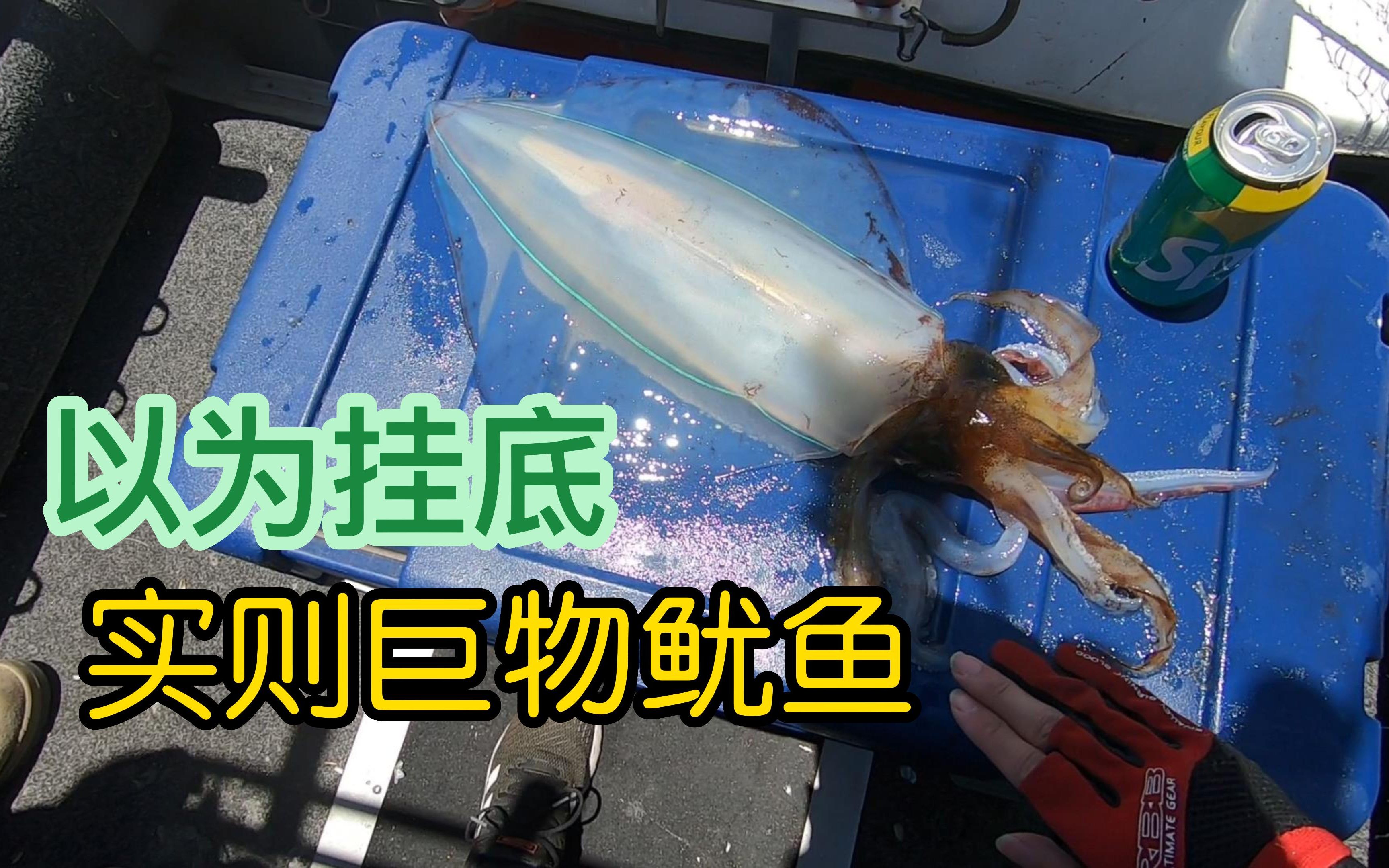 只要一直换目标鱼,就不会打龟~