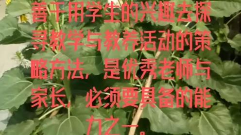 教学活动是否高效,在于教育者本身能否善用学生的兴趣去探寻。