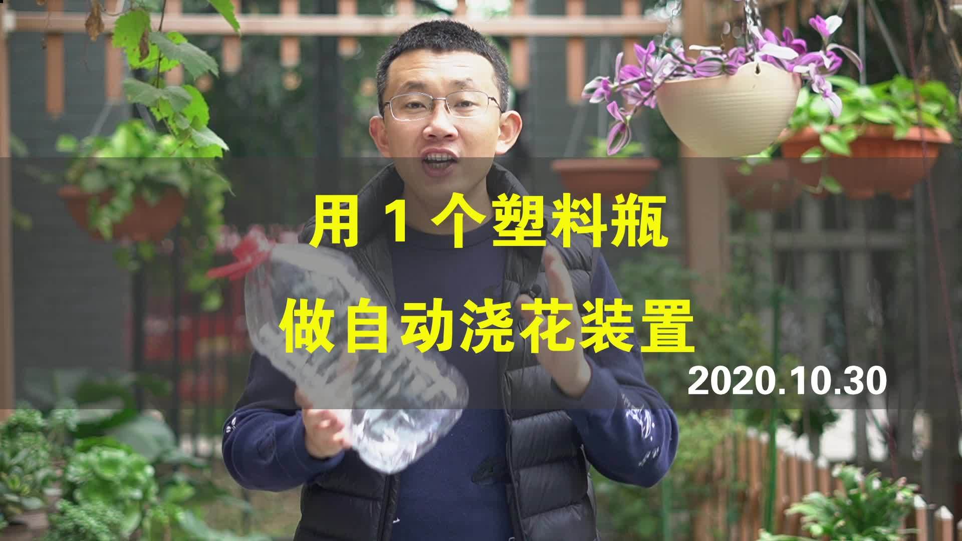 用1个塑料瓶,做自动浇花装置