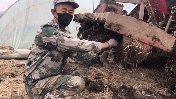 一粒大米的成长过程——(旋地)小伙儿负责干活,我负责跑腿。