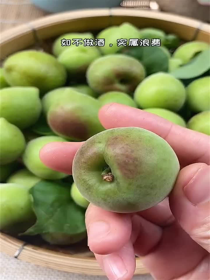 青梅酒,青梅泡酒能解忧,一樽尽把好春留!