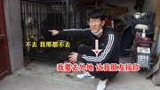 为了换回哈士奇皮皮小伙跟二哈撒谎,谁知谎言竟被它识破,该咋办
