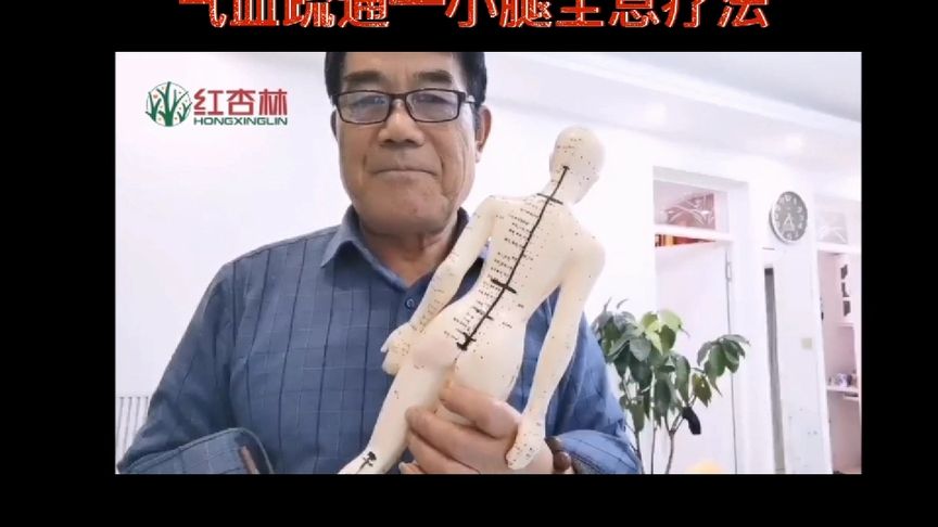 气血疏通—小腿全息疗法